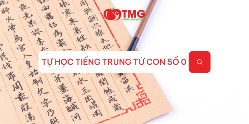 LỘ TRÌNH TỰ HỌC TIẾNG TRUNG TỪ CON SỐ 0 HIỆU QUẢ NHẤT